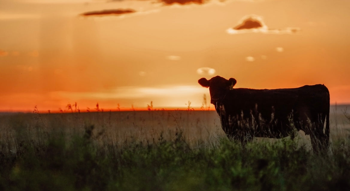 Black Leg Ranch Meats